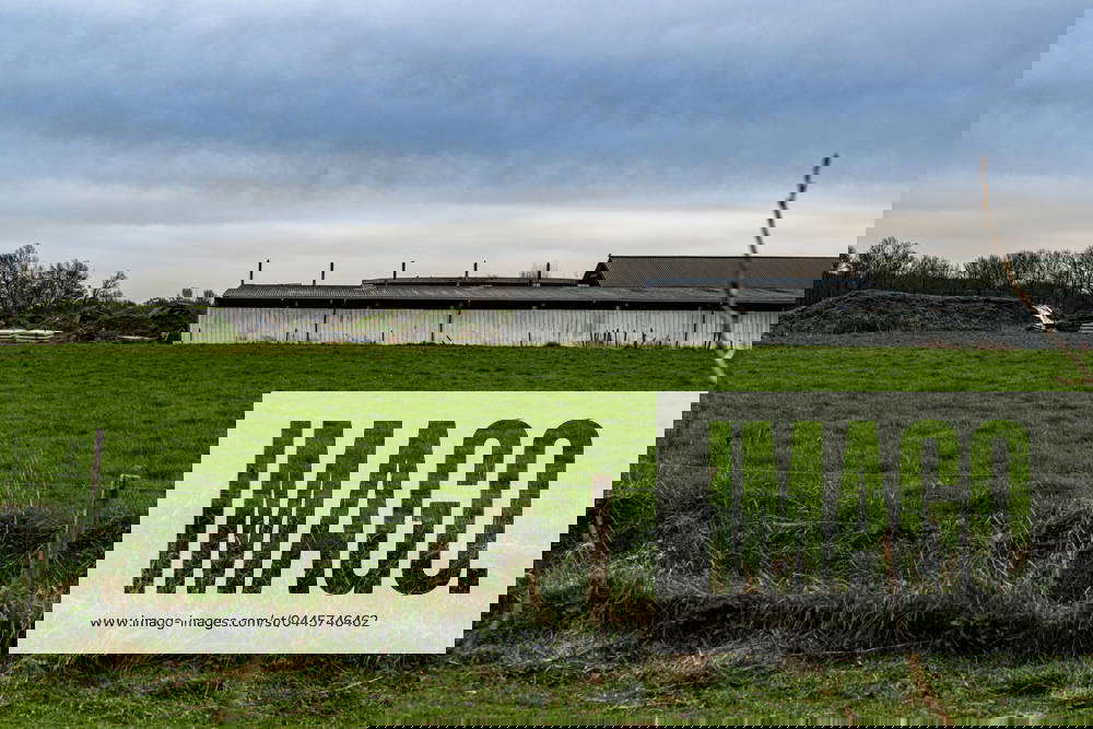 Rural Animal Farm Rural Animal Farm, breeding Pigs and Hogs by the ...