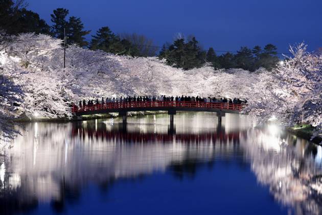 Cherry blossoms in northeastern Japan Cherry blossoms bloom near ...