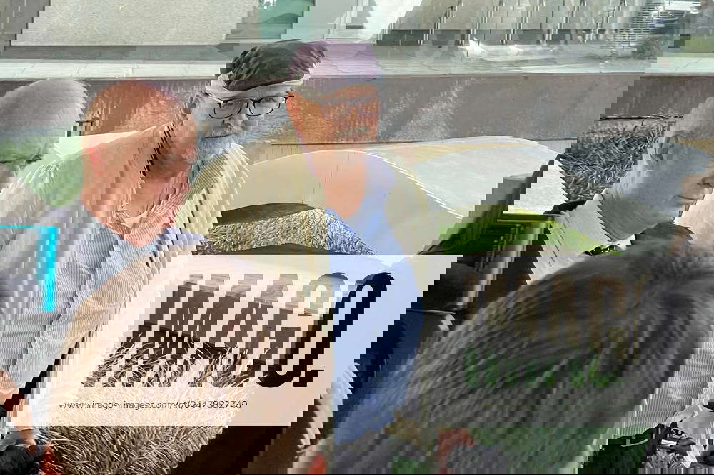 MAX MCDOWALL DEATH INQUEST, Brisbane City Council bus driver Andrew ...