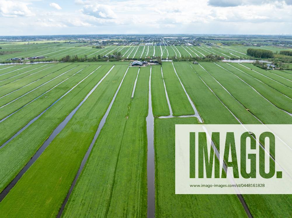 Polder landscape near Alphen aan den Rijn. ANP Hollandse Hoogte Josh ...