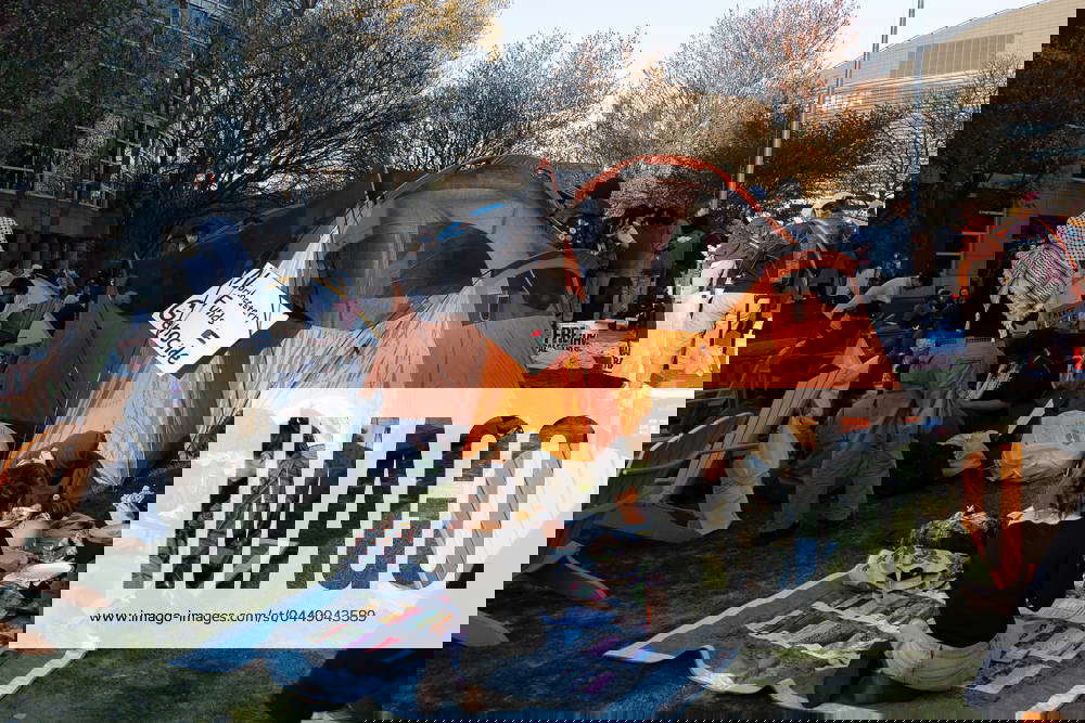 Pro-Palestine Protest in Northeastern University, Boston, USA - 25 Apr ...