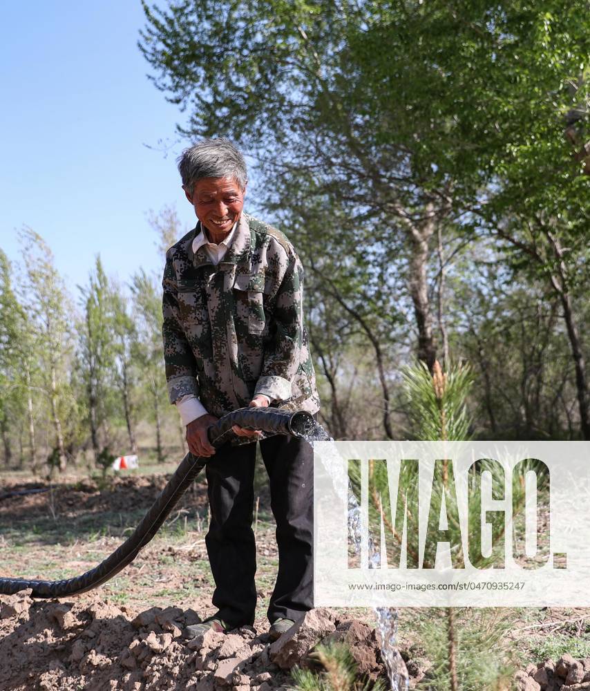 FUXIN, Hou Gui waters saplings in the woods in Zhangwu County of Fuxin ...
