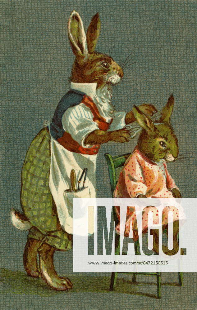 Haircut for Young Rabbit by g h Thompson Haircut for Young Rabbit by gh ...