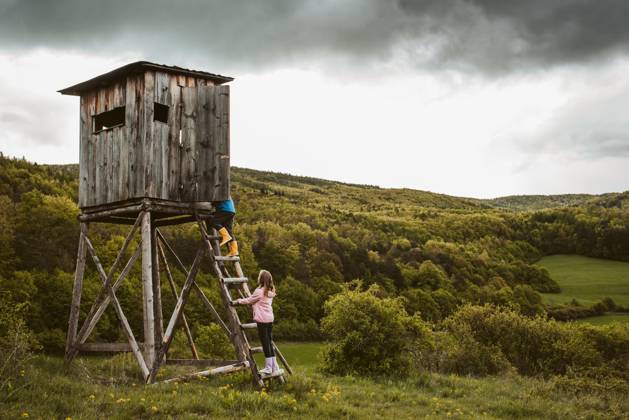 Siblings discovered a hunting blind during their walk in forest ...