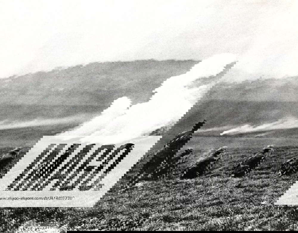 American troops in action near Le Nefour, France, WW1 American troops ...