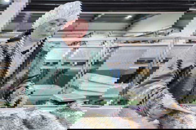 RUSSIA, SAKHALIN REGION - : An employee handles cod caught in the Sea ...