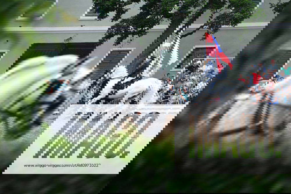 Seventh year of the Day of Old Kladruber Horse was held at the Kladruby ...