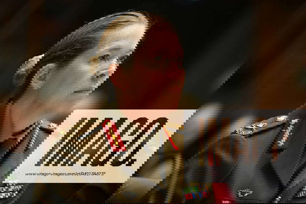 SENATE ESTIMATES, National Cyber Security Coordinator Lieutenant ...