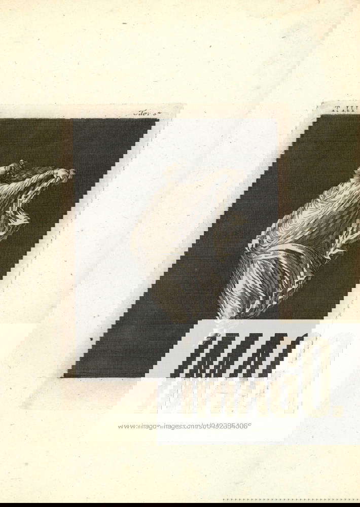 Woman performing the Bacchic dance of Euripides Female dancer in ...