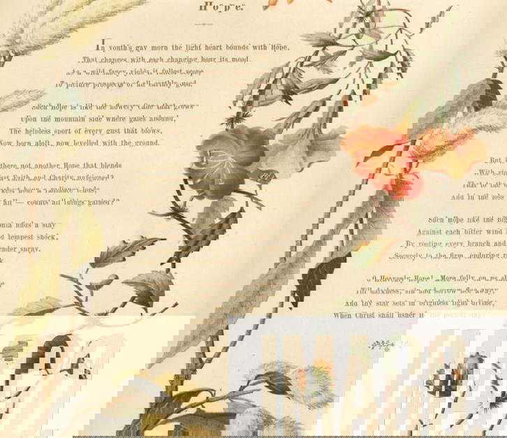 Poem with floral border of ukshi and trumpet vine Poem with floral ...