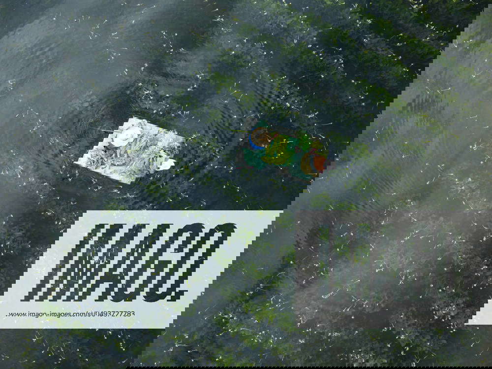 (240605) -- ERYUAN, June 5, 2024 -- An aerial drone photo taken on June 5, 2024 shows villagers