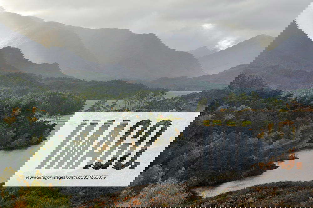 Glen Affric, view to west over Loch Affric, Glen Affric National Nature Reserve, Glen Affric, view