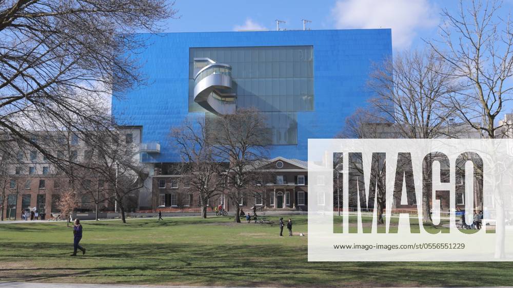 Art Gallery of Ontario at the OCAD Canadas largest art and design ...