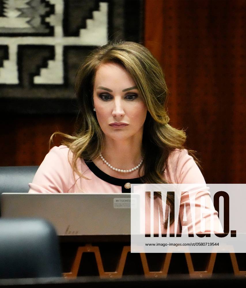 Syndication: Arizona Republic State Rep. Julie Willoughby on the House ...