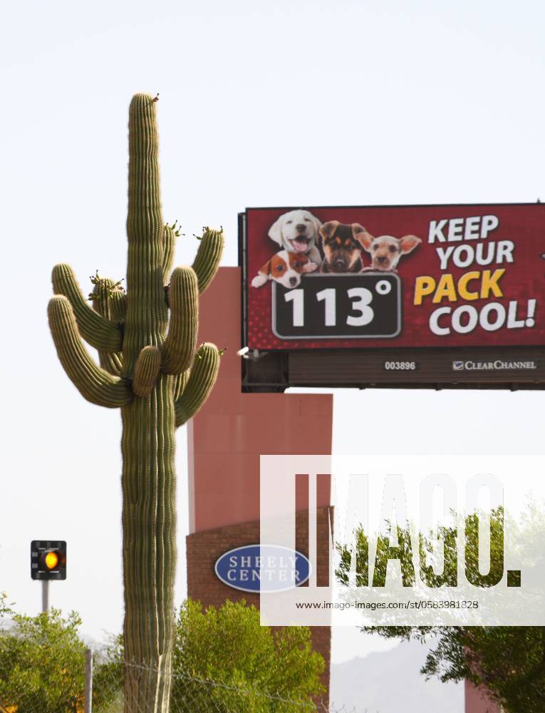 Syndication: Arizona Republic A billboard on Loop 101 displays the ...