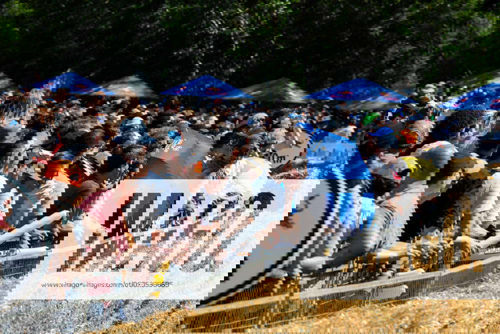 Red Bull Soap Box Derby in Edmonton, Canada - 22 Jun 2024 Fans attend ...