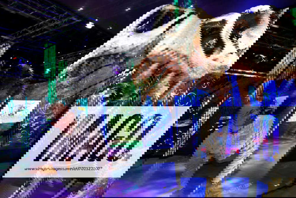 T. REX FOSSIL MELBOURNE MUSEUM, Palaeo expert Tim Zeigler, Museums ...