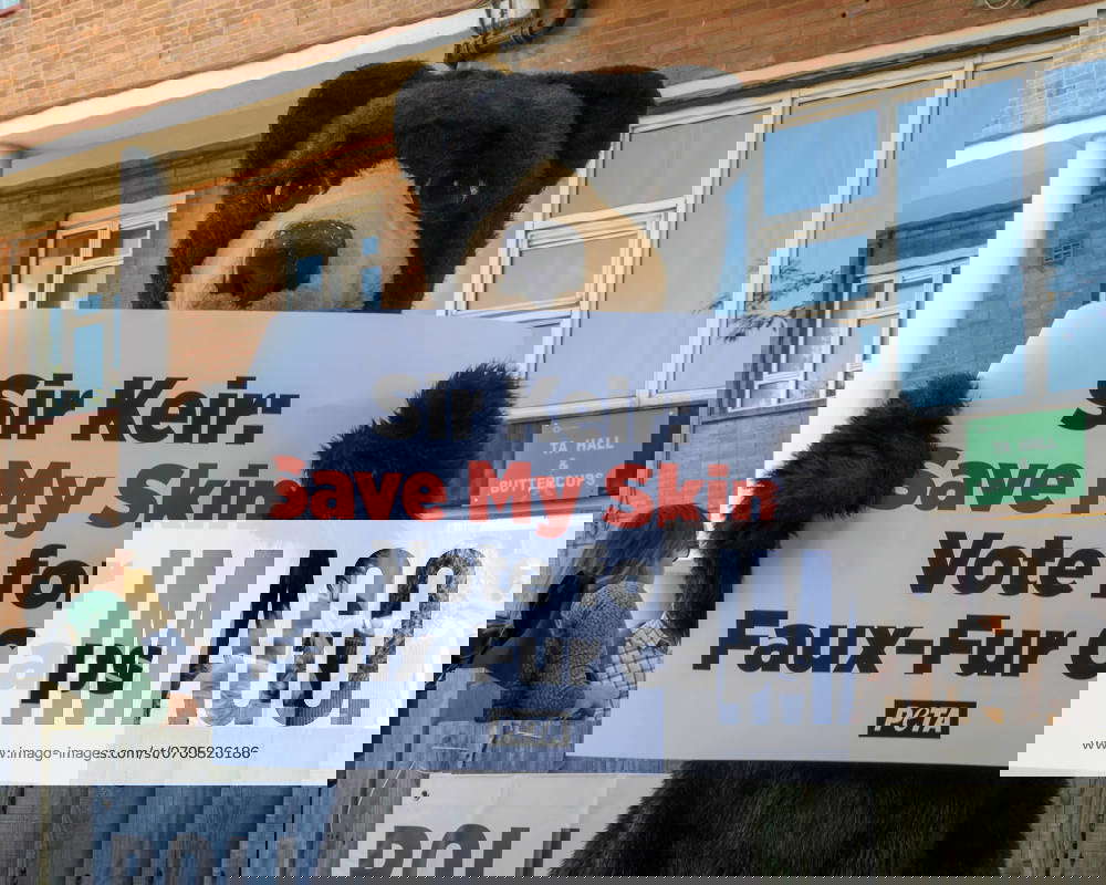 Großbritannien, PETA Protest gegen Bärenfellmützen in London . 04 07 ...