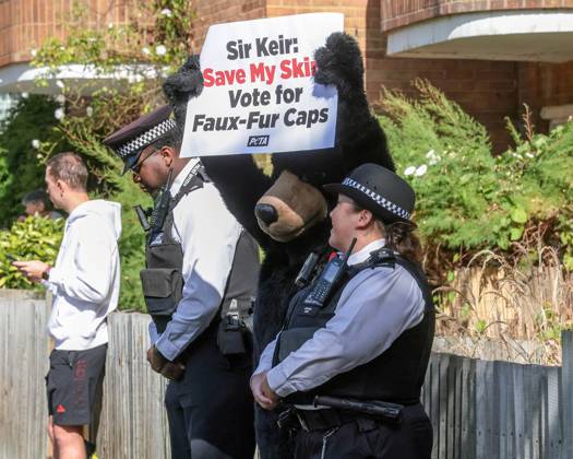 Großbritannien, PETA Protest gegen Bärenfellmützen in London . 04 07 ...