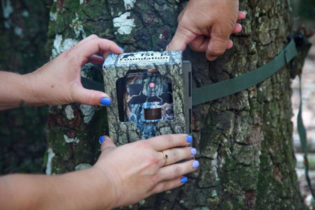 July 8, 2024, Polk County, Florida, USA: Staff members Roni Allen, 37 ...