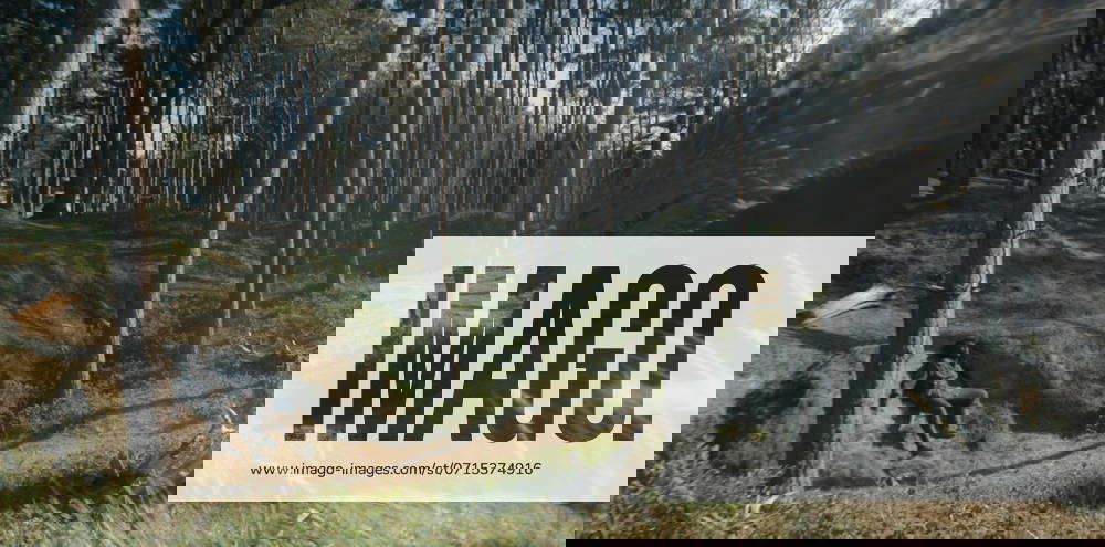 Clinton Liberty Los Angeles.CA.USA. Clinton Liberty in a scene in HBO ...