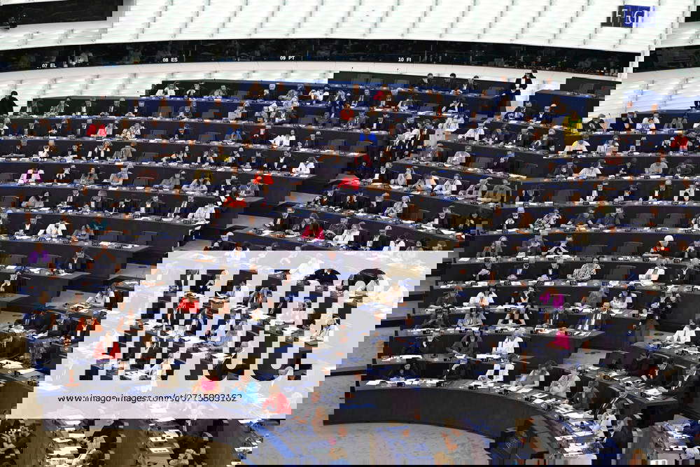 MEPs from all EU countries sit in the EU Parliament in Strasbourg ...