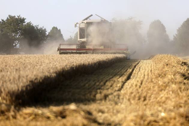 IMAGO - Images & Videos for Media, Sports & Brand.