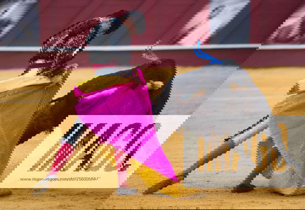 August 20, 2024, Malaga, Spain: Spanish bullfighter Saul Jimenez Fortes ...