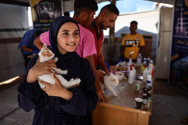 IMAGO - Images & Videos for Media, Sports & Brand.