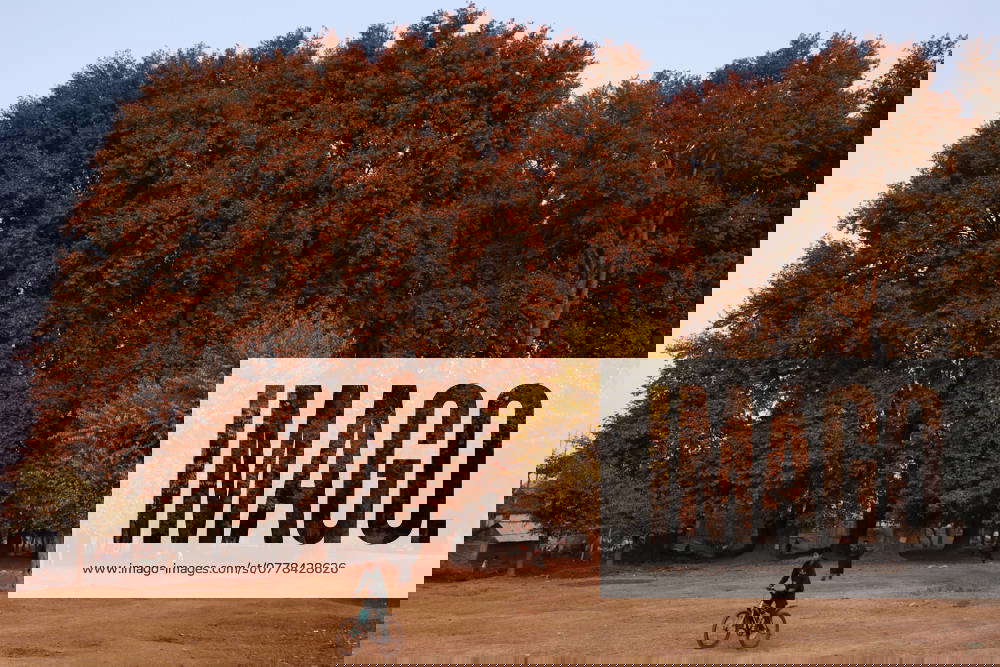 IMAGO - Images & Videos for Media, Sports & Brand.