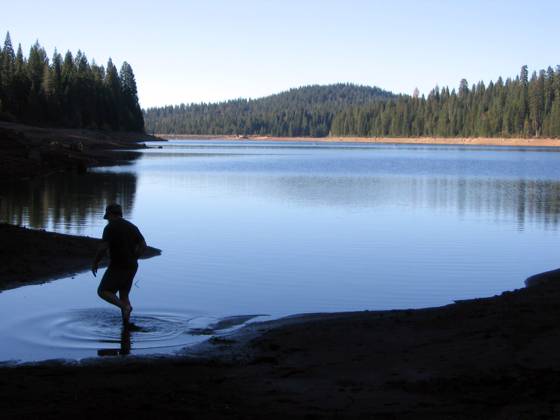 Bigfoot A lone searcher passes through Stumpy Meadows Lake in El Dorado ...
