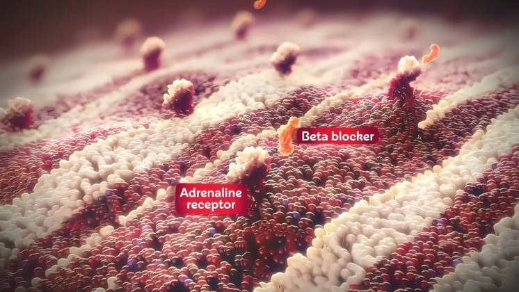 Inhibited adrenaline receptor, adrenergic receptors 3D illustration ...