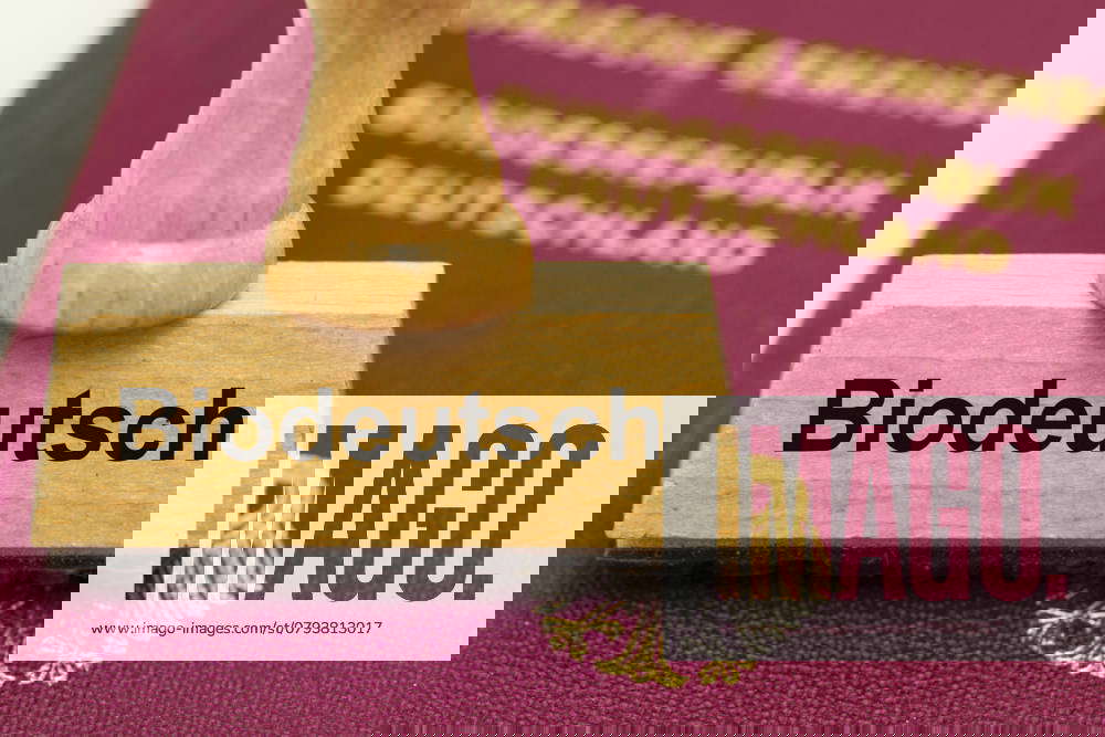 Bio-German is the Unword of the Year 2024 A wooden stamp stands on a ...