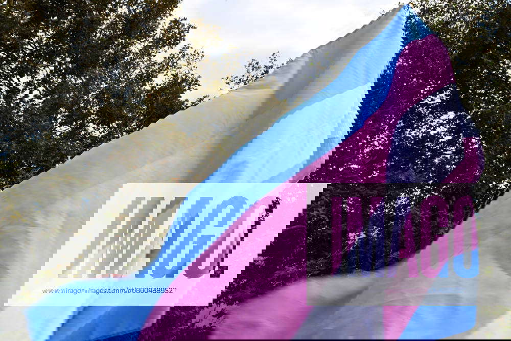 TRANS YOUTH PROTESTS OVER QLD LAWS, The Transgender flag flies during a ...