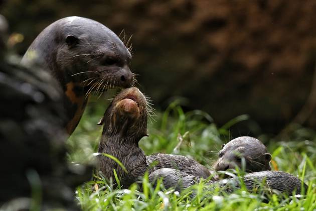 Materna Stock Photos – High-Quality Images for Licensing | IMAGO