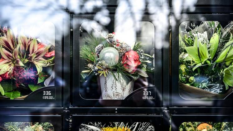 Lydia Stock Photos – High-Quality Images for Licensing | IMAGO