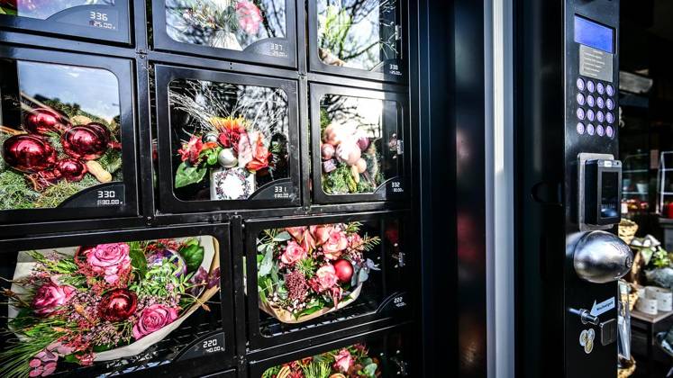 Lydia Stock Photos – High-Quality Images for Licensing | IMAGO