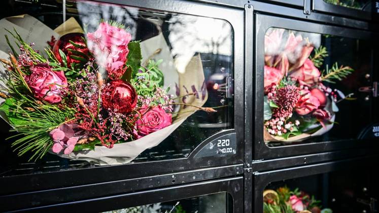 Lydia Stock Photos – High-Quality Images for Licensing | IMAGO